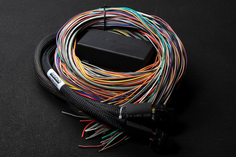 Haltech Elite 2500 & 2500 T Premium Universal Wire-in Harness