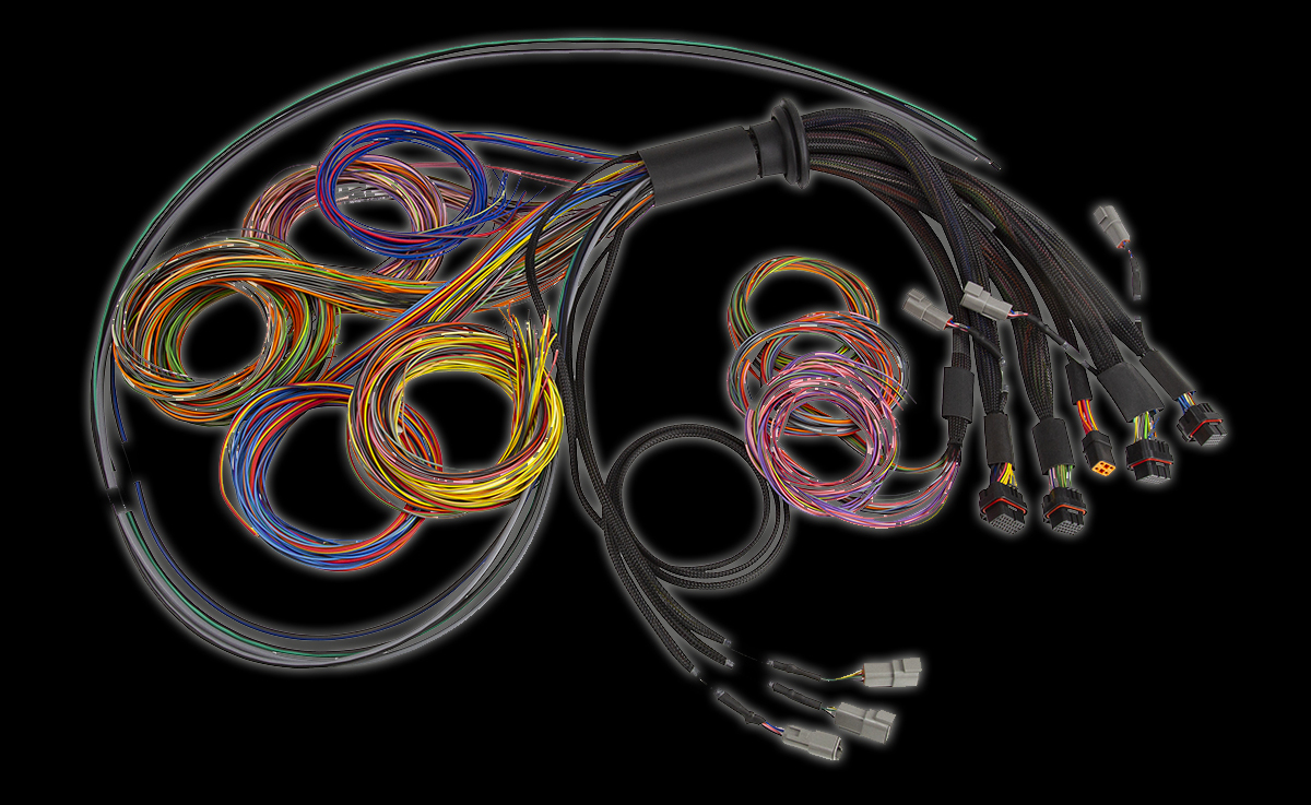 Haltech NEXUS R5 Universal Wire-In harness